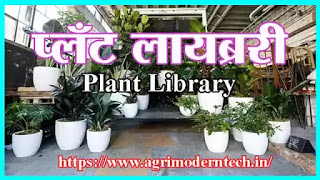 प्लँट लायब्ररी - Plant Library - KS Agrowon